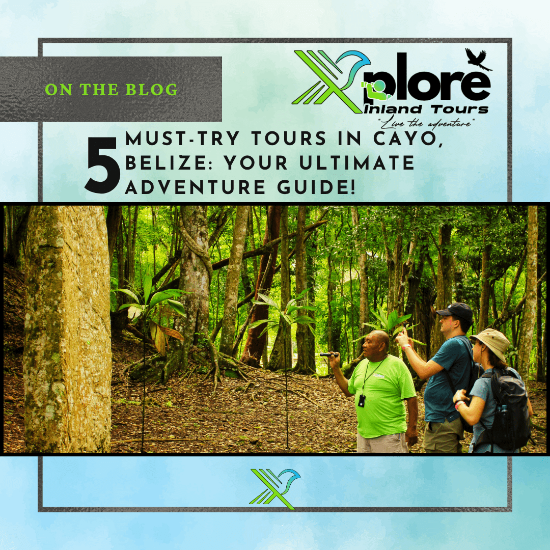 5 Must-Try Belize Adventure Tours in Cayo