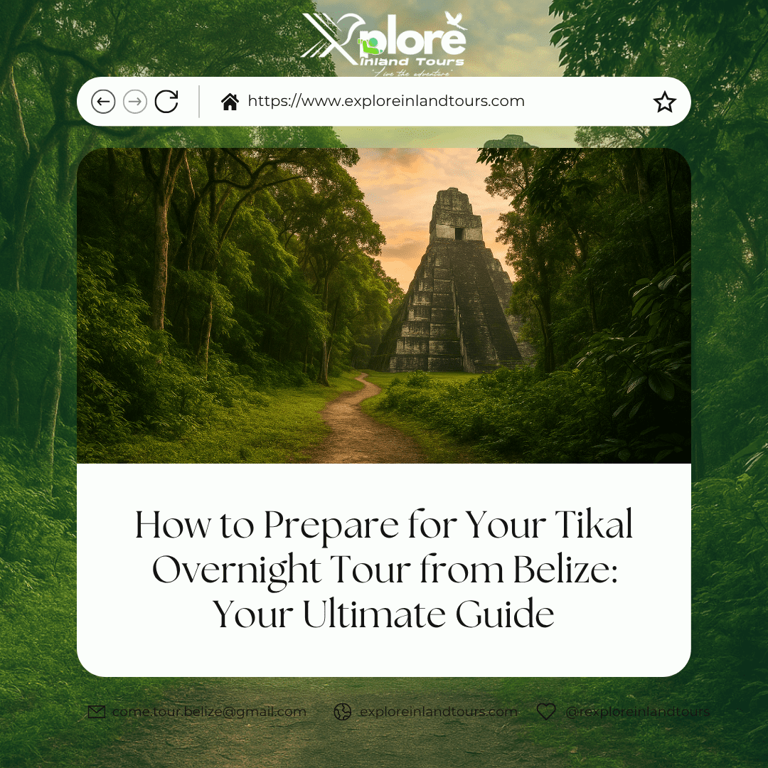 Tikal Overnight Tour from San Ignacio, Belize